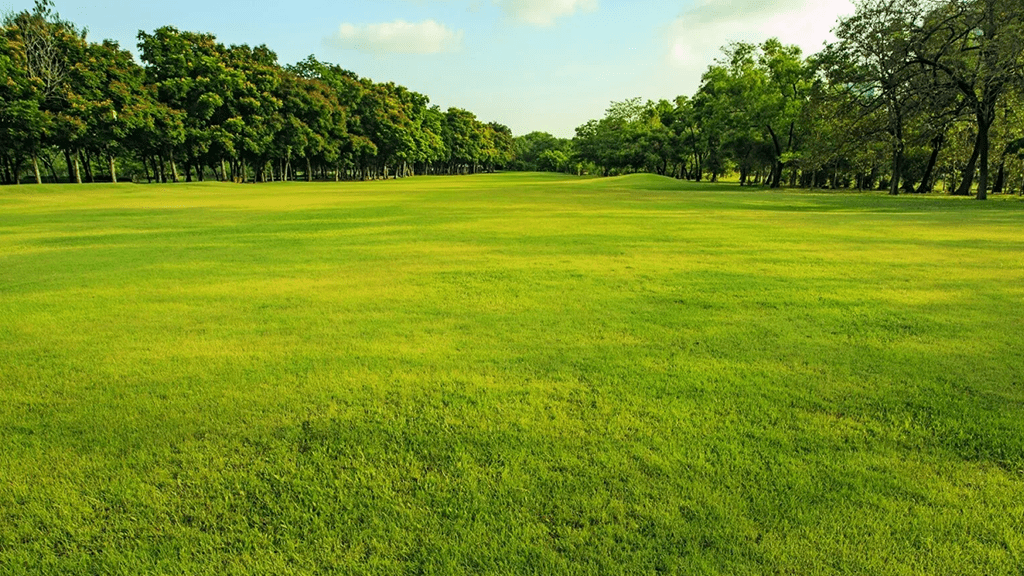 Bella Verde Golf Club | Montebello, CA Golf Courses